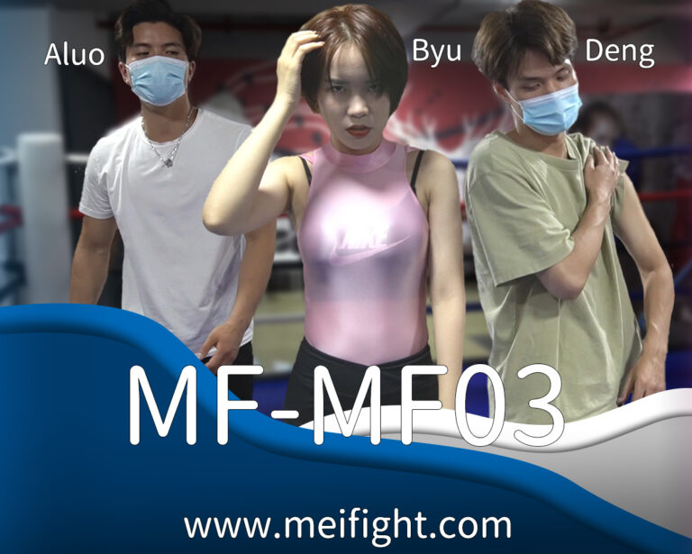 Mixed Fight – MeiFight